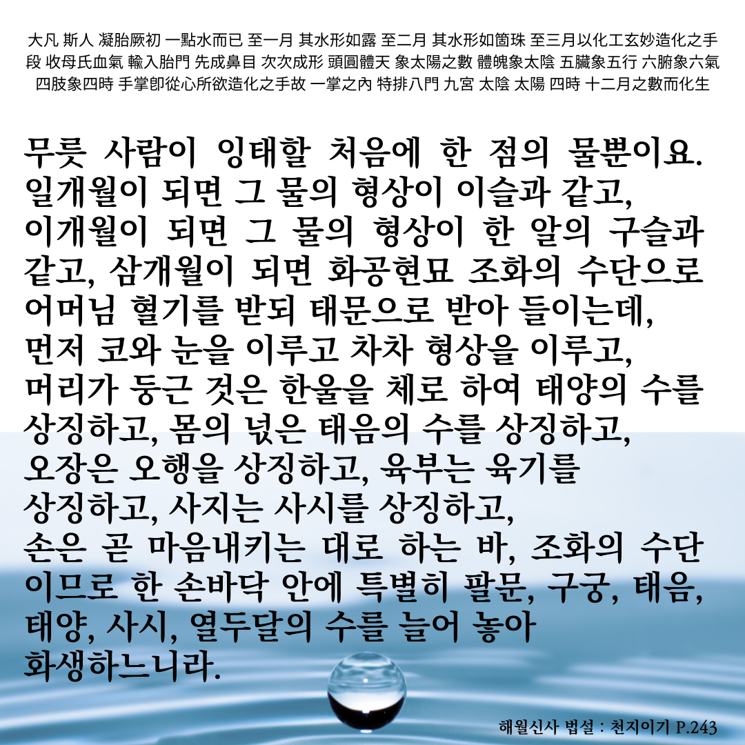 천지이기 P.243 > 뉴스 | 천도교신문